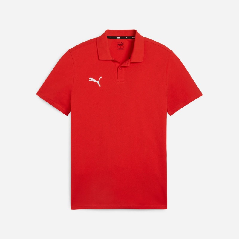 Polo Puma teamGOAL para hombre | EKINSPORT